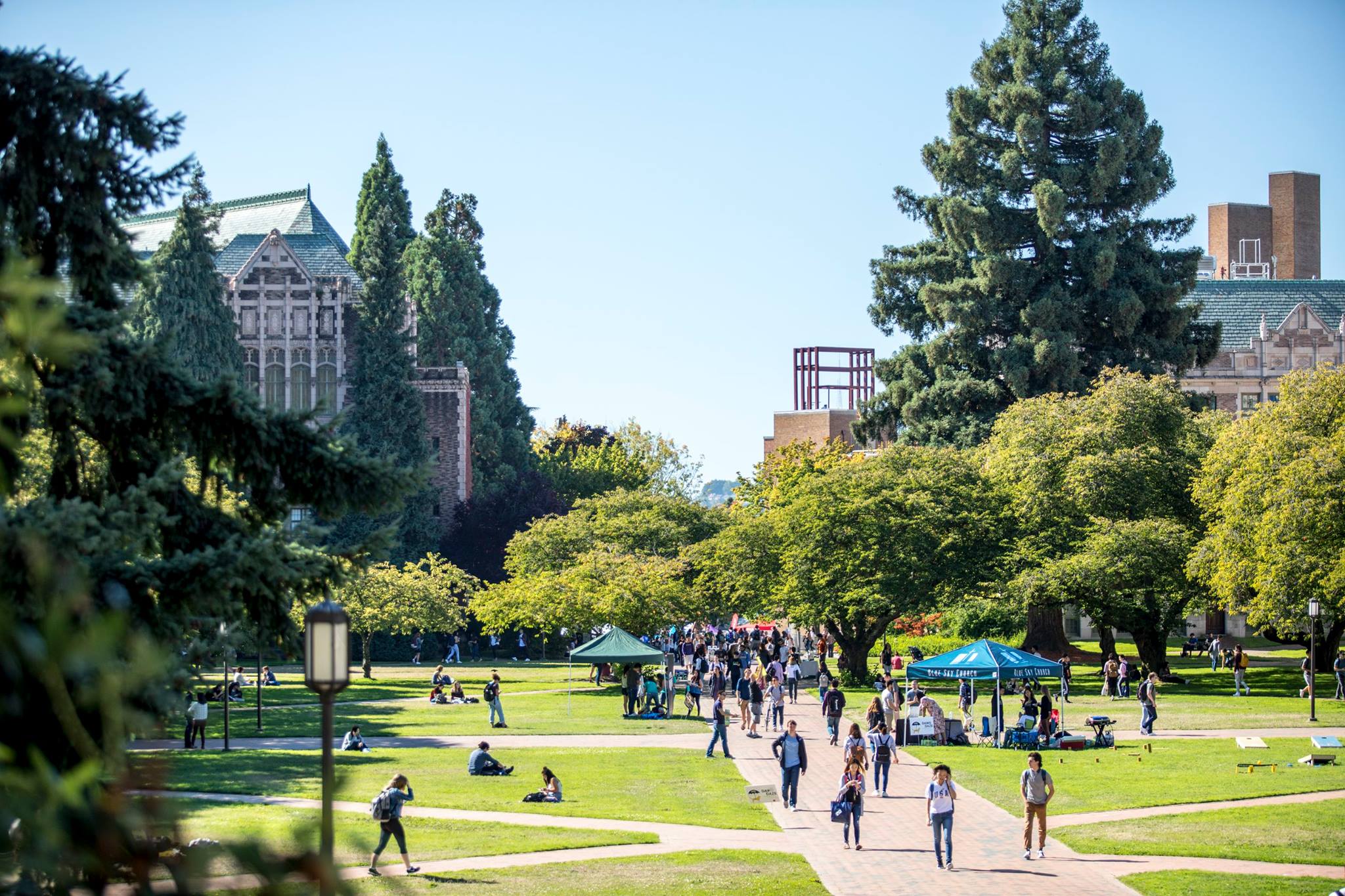 University of Washington: Admissions, Ranking, Acceptance Rate, Courses ...