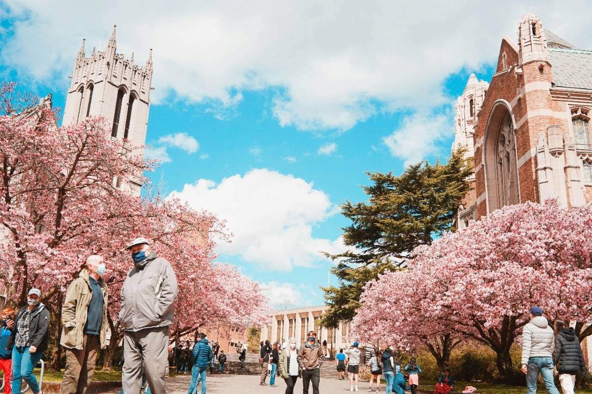 University of Washington: Admissions, Ranking, Acceptance Rate, Courses ...