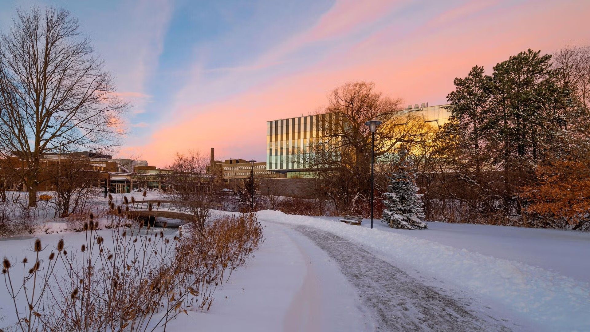 University of Waterloo: Admissions, Ranking, Acceptance Rate, Courses ...