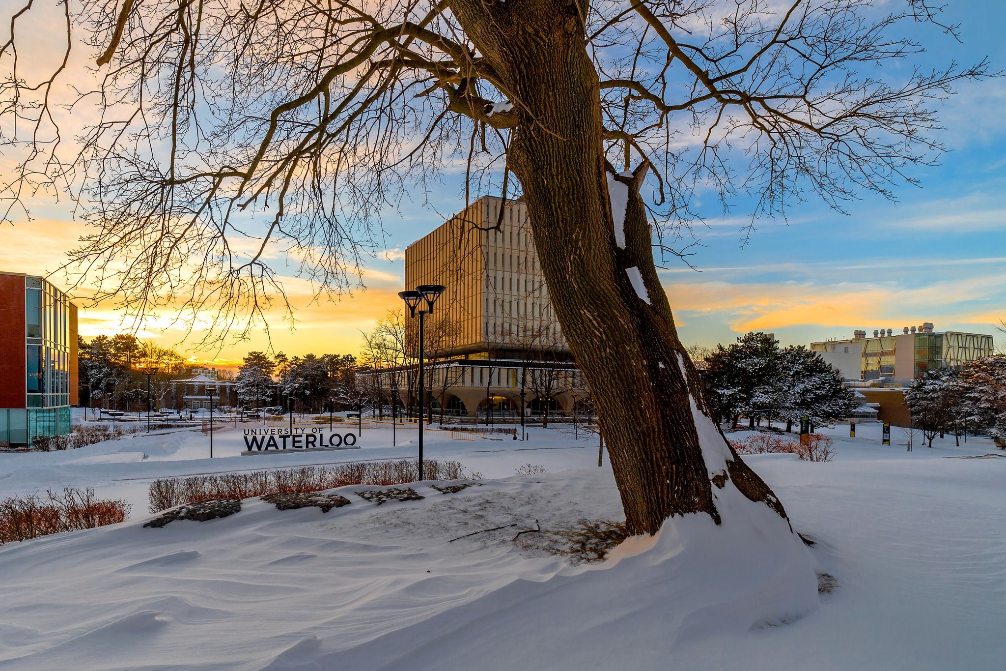 University of Waterloo: Admissions, Ranking, Acceptance Rate, Courses ...