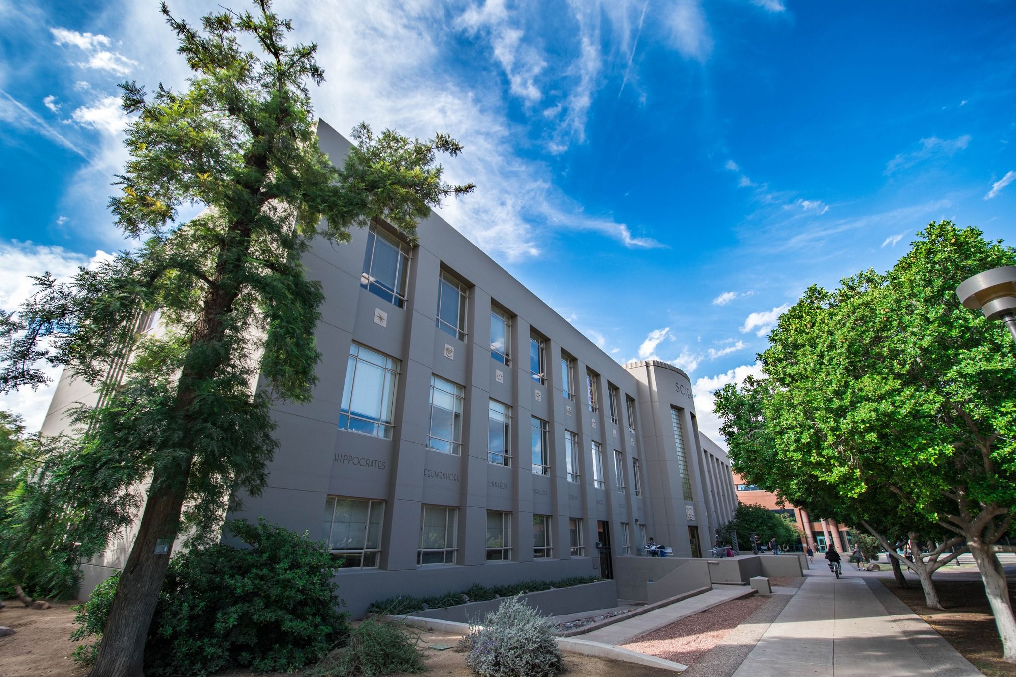 Arizona State University: Admissions, Ranking, Acceptance Rate, Courses ...