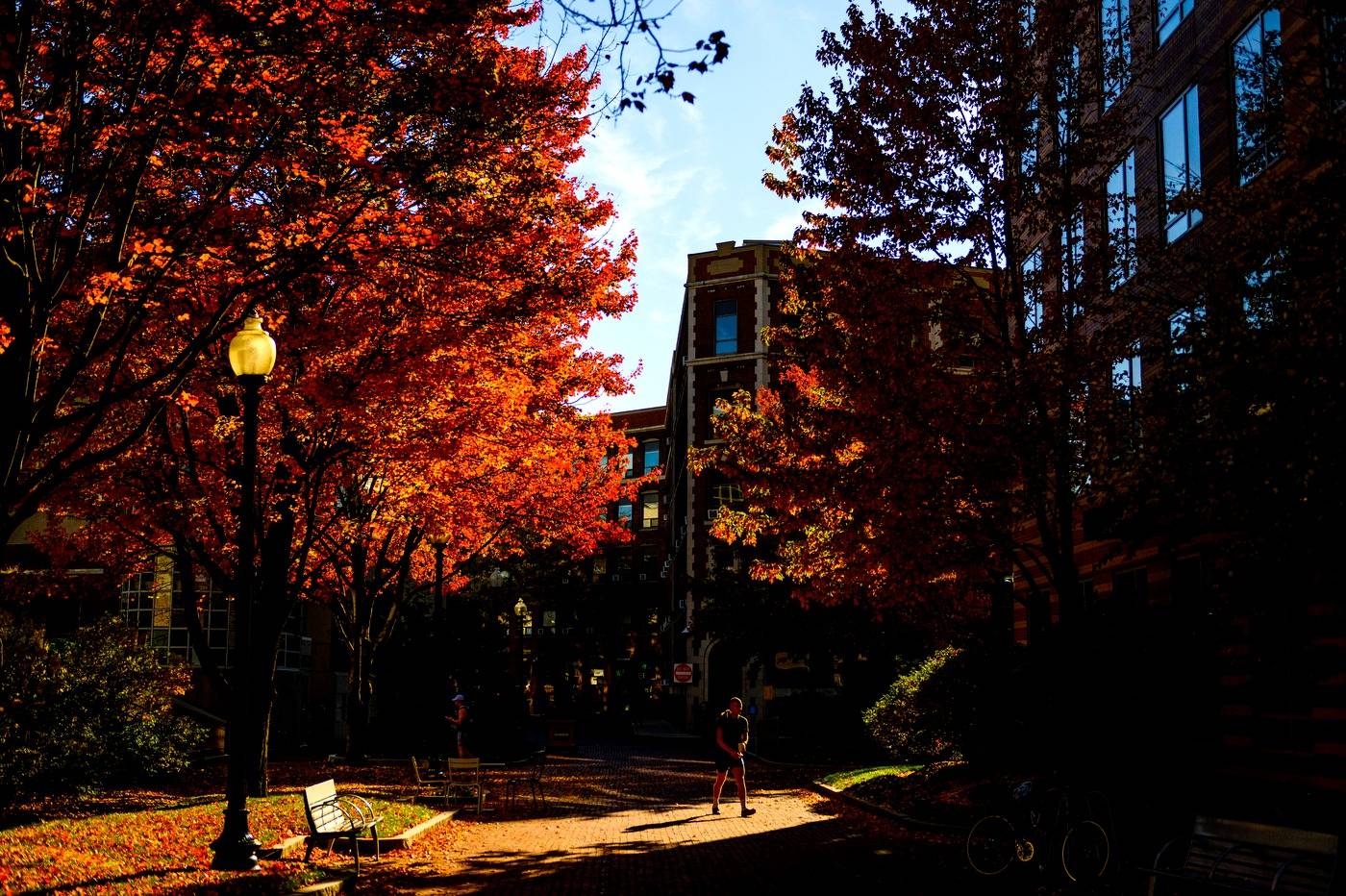 Northeastern University Overview: Courses & Rankings