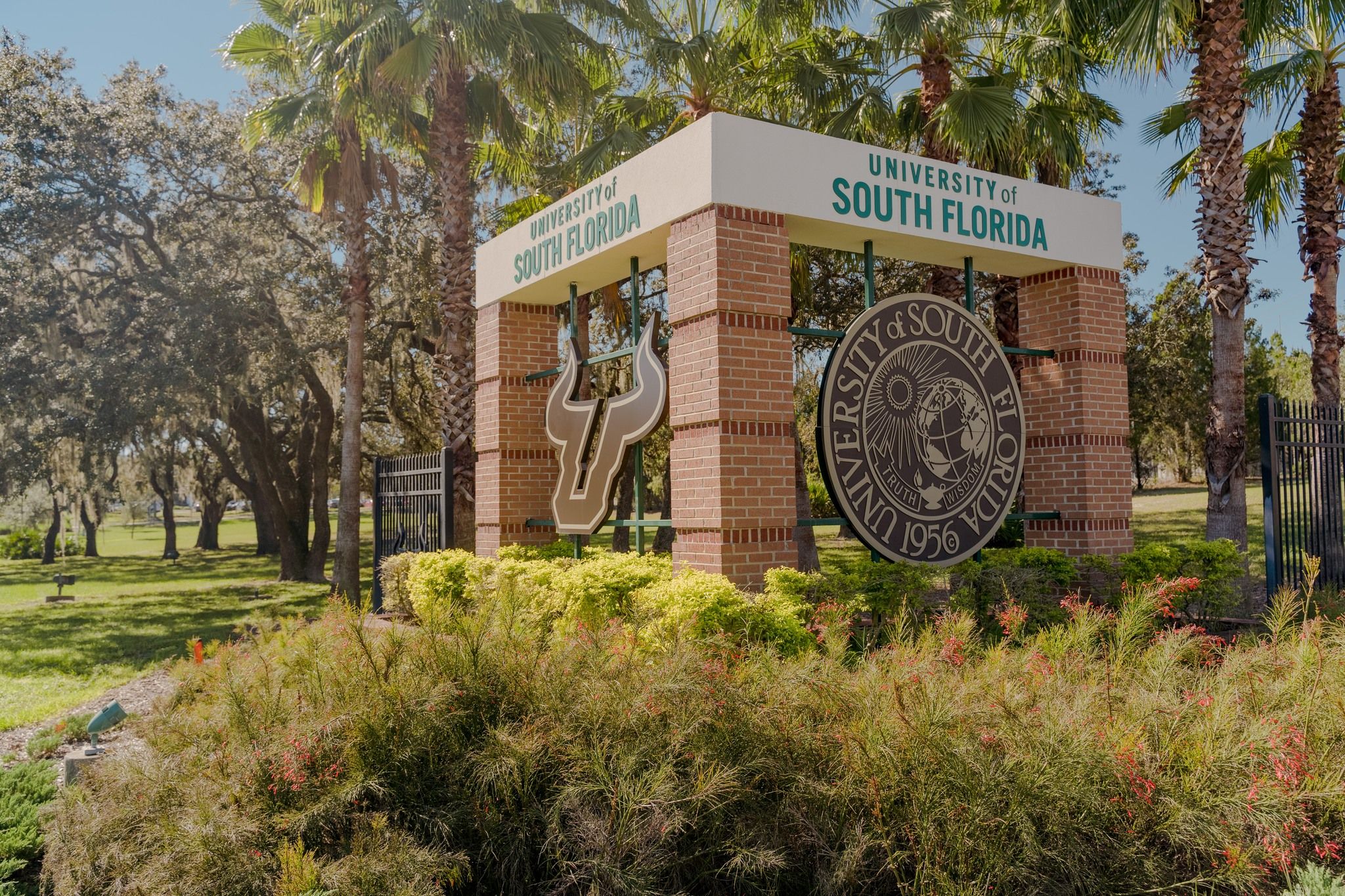 University of South Florida: Admissions, Ranking, Acceptance Rate ...