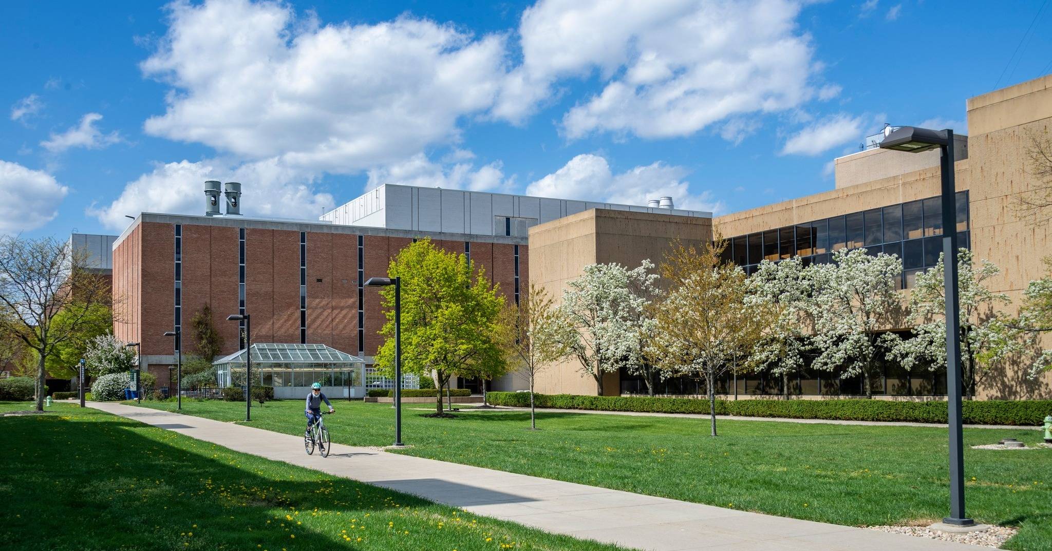 Wright State University: Admissions, Ranking, Acceptance Rate, Courses ...