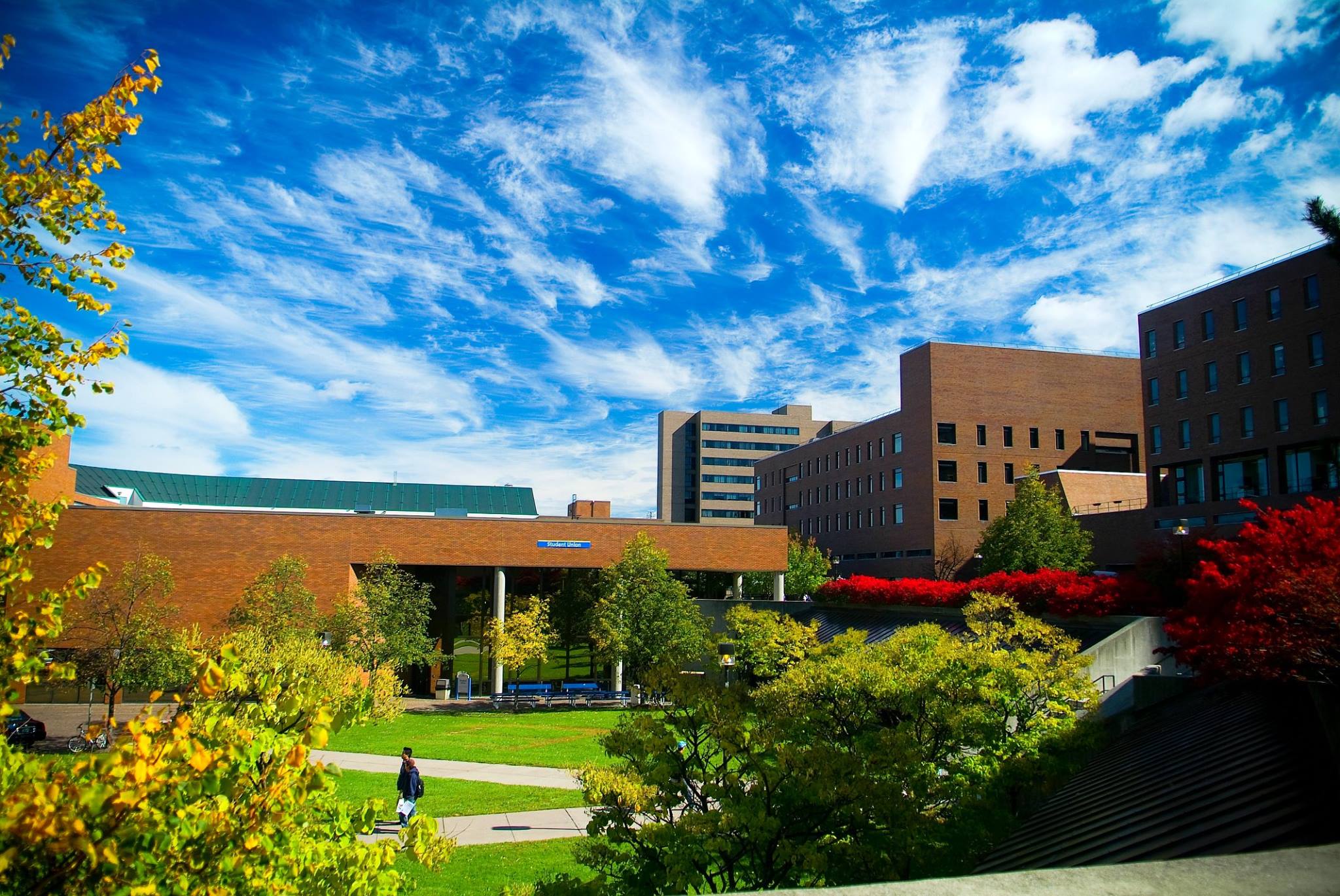 University at Buffalo: Must-Know Facts and Rankings for 2025