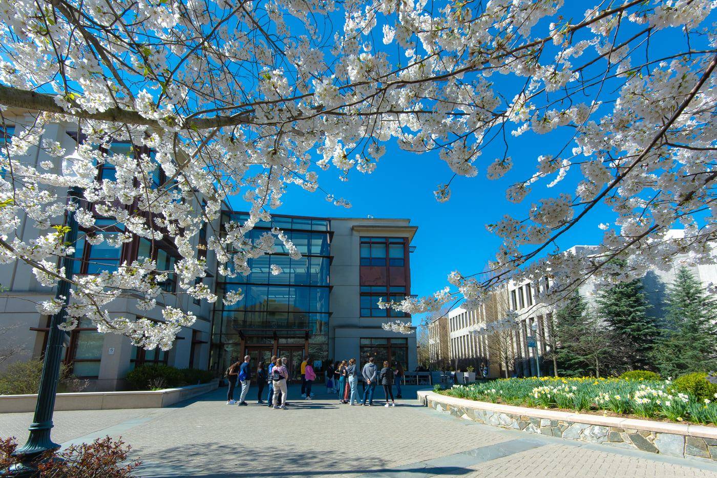 American University: Admissions, Ranking, Acceptance Rate, Courses & Fees