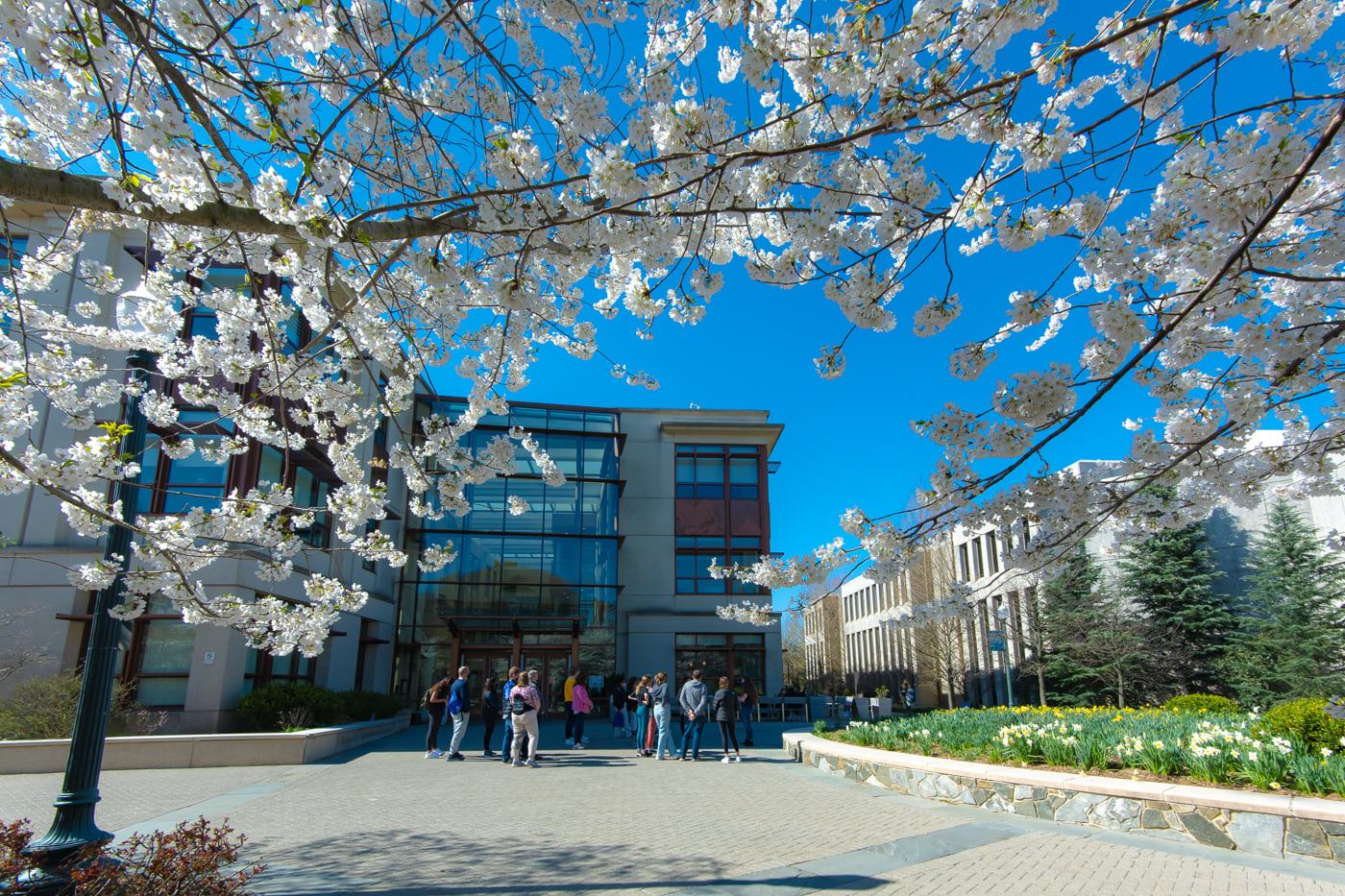 American University: Admissions, Ranking, Acceptance Rate, Courses & Fees