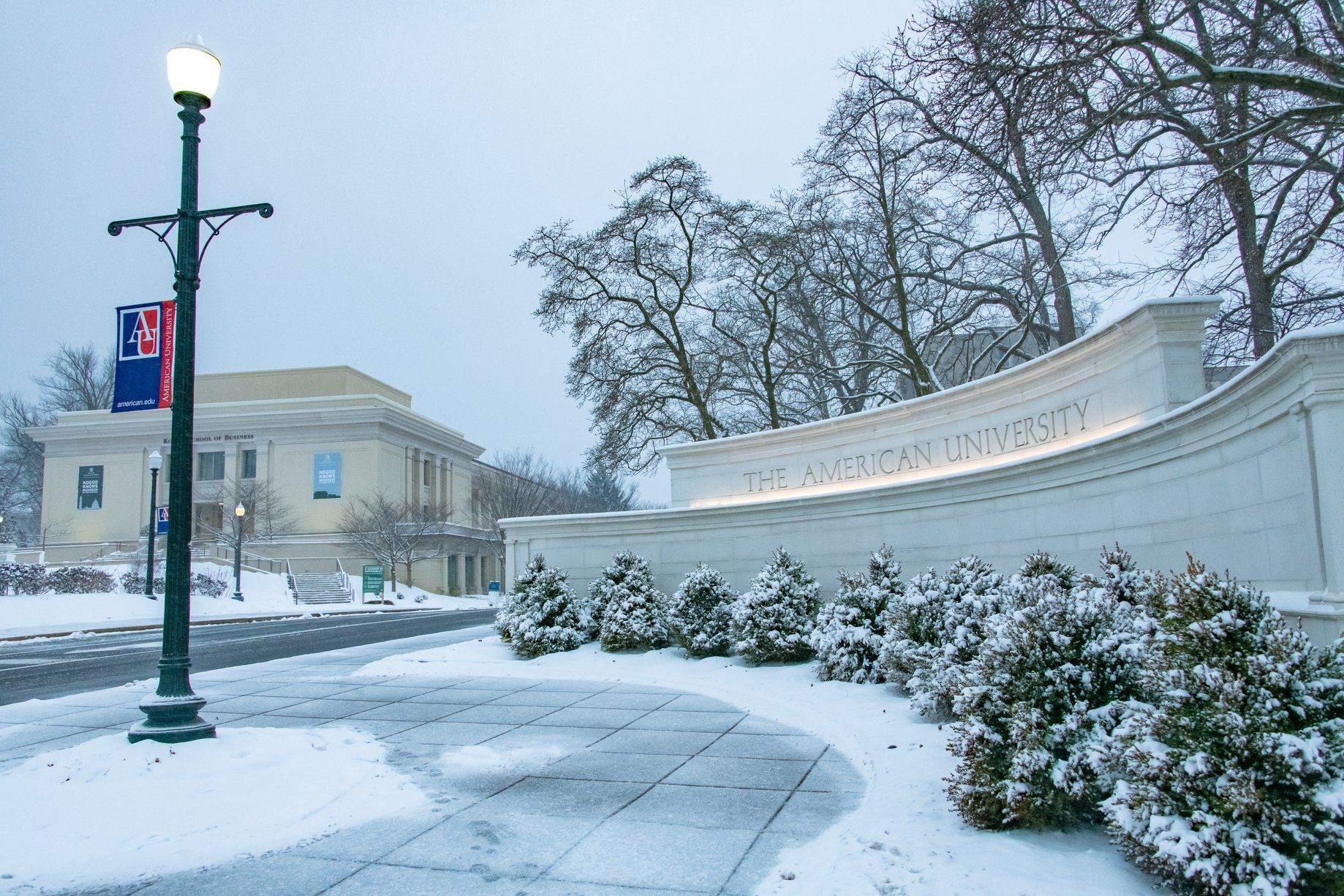 American University: Admissions, Ranking, Acceptance Rate, Courses & Fees
