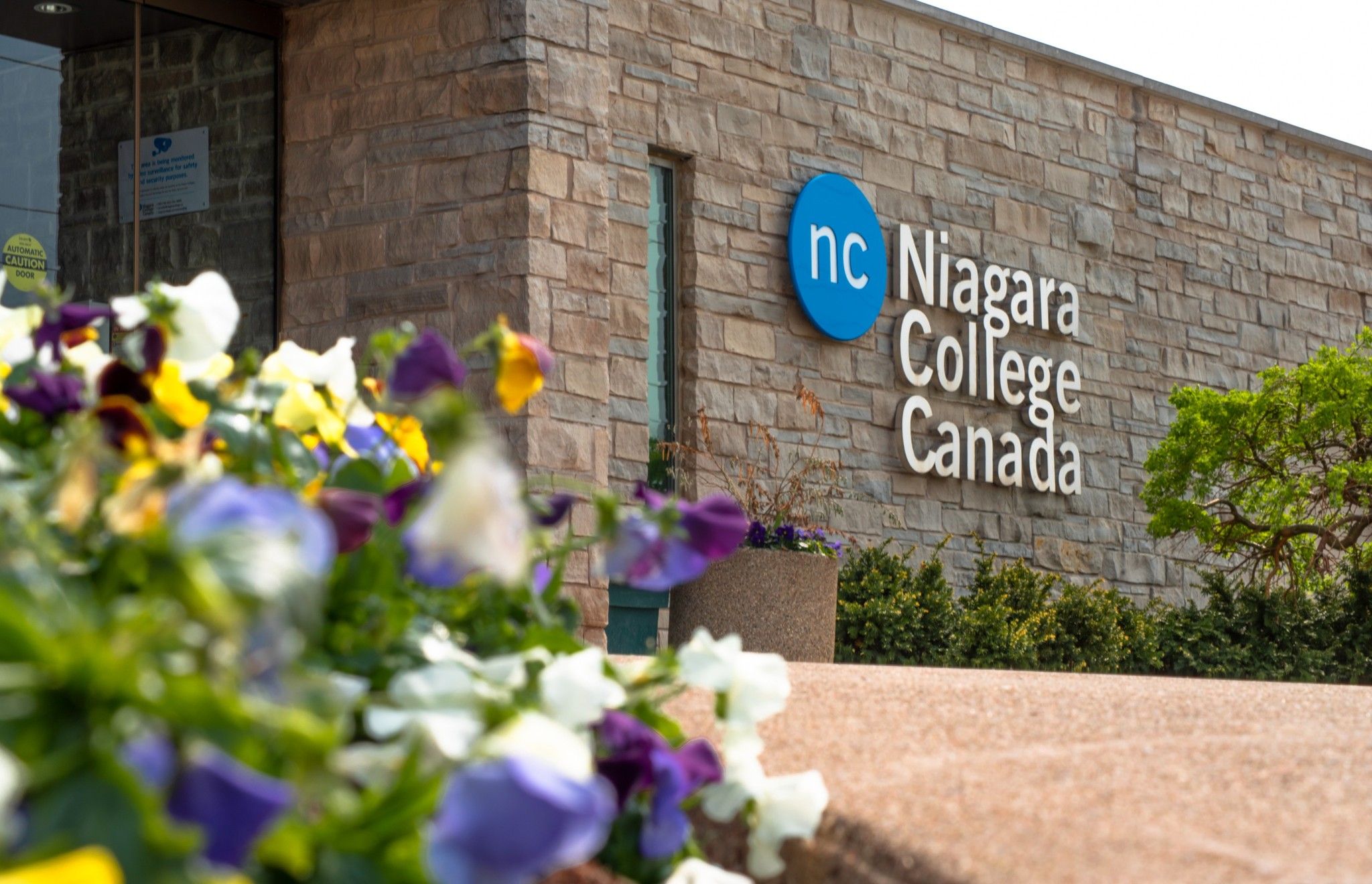 Niagara College Canada: Admissions, Ranking, Acceptance Rate, Courses ...