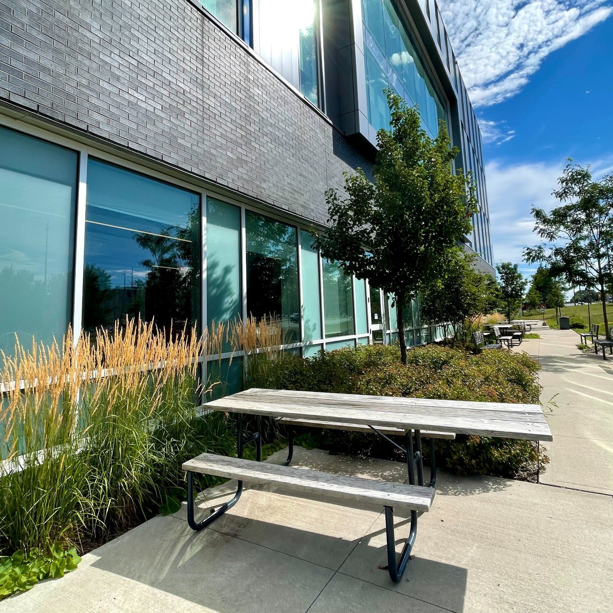 Ontario Tech University : Admission 2023, Ranking , Acceptance rate ...