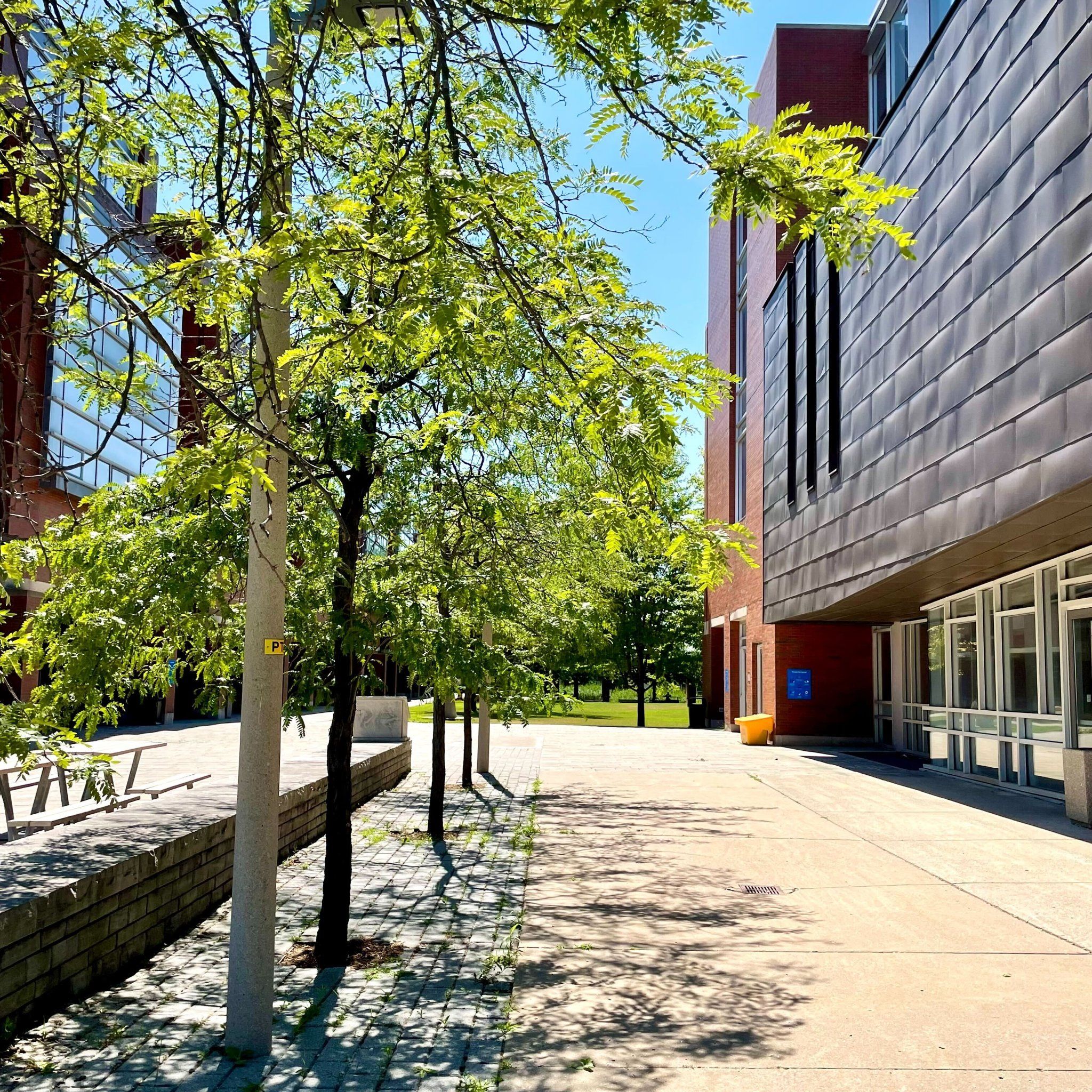 Ontario Tech University : Admission 2023, Ranking , Acceptance rate ...