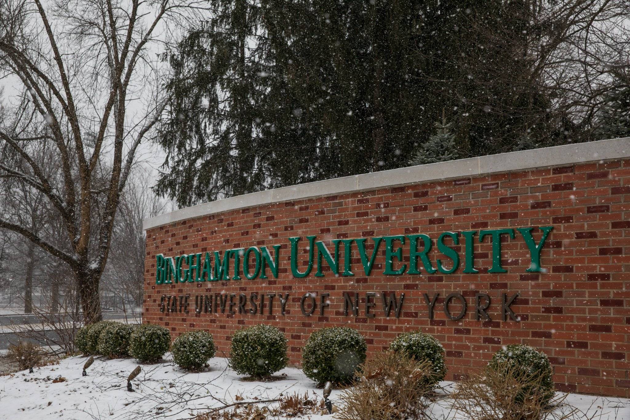 Binghamton University: Admissions, Ranking, Acceptance Rate, Courses & Fees