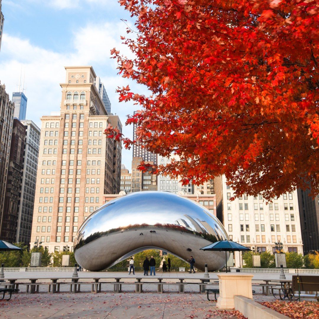 Illinois Institute of Technology: What You Must Know