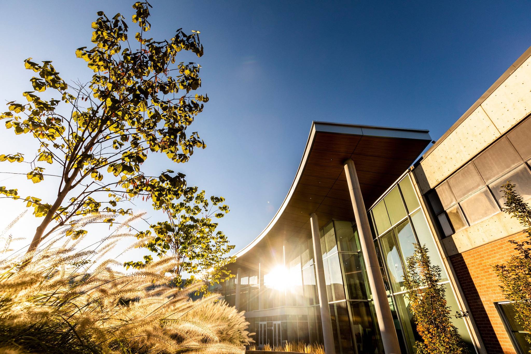 Utah Valley University : Admission, Ranking, Acceptance Rate, Courses ...