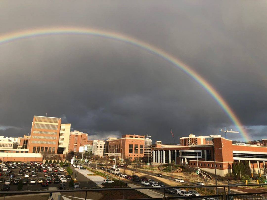 University of Alabama at Birmingham : Admission, Ranking, Acceptance ...