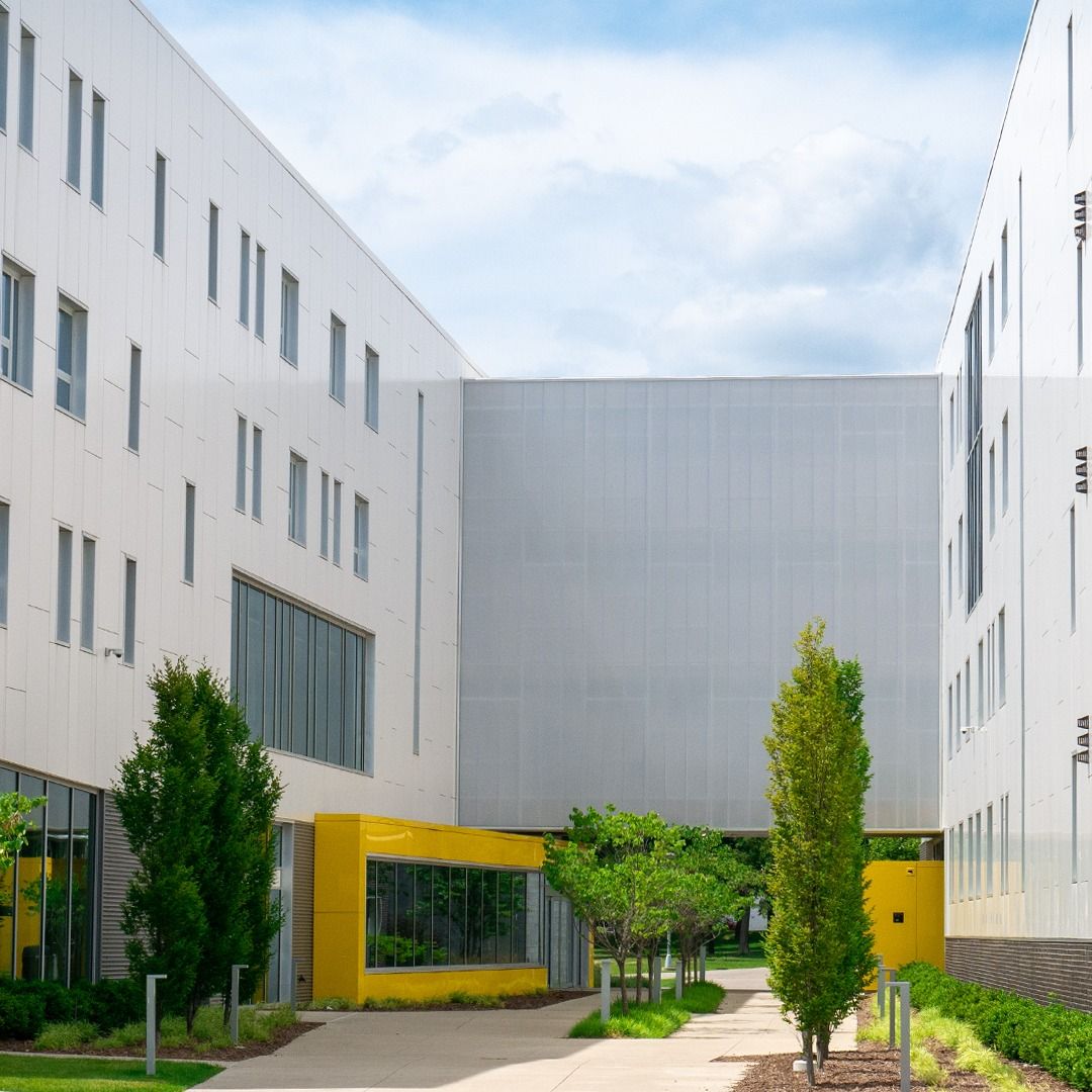 Lawrence Technological University: Admissions, Ranking, Acceptance Rate, Courses & Fees