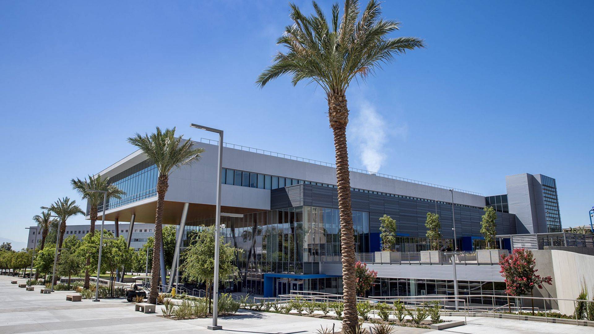 California State University - San Bernardino: Admissions, Ranking ...