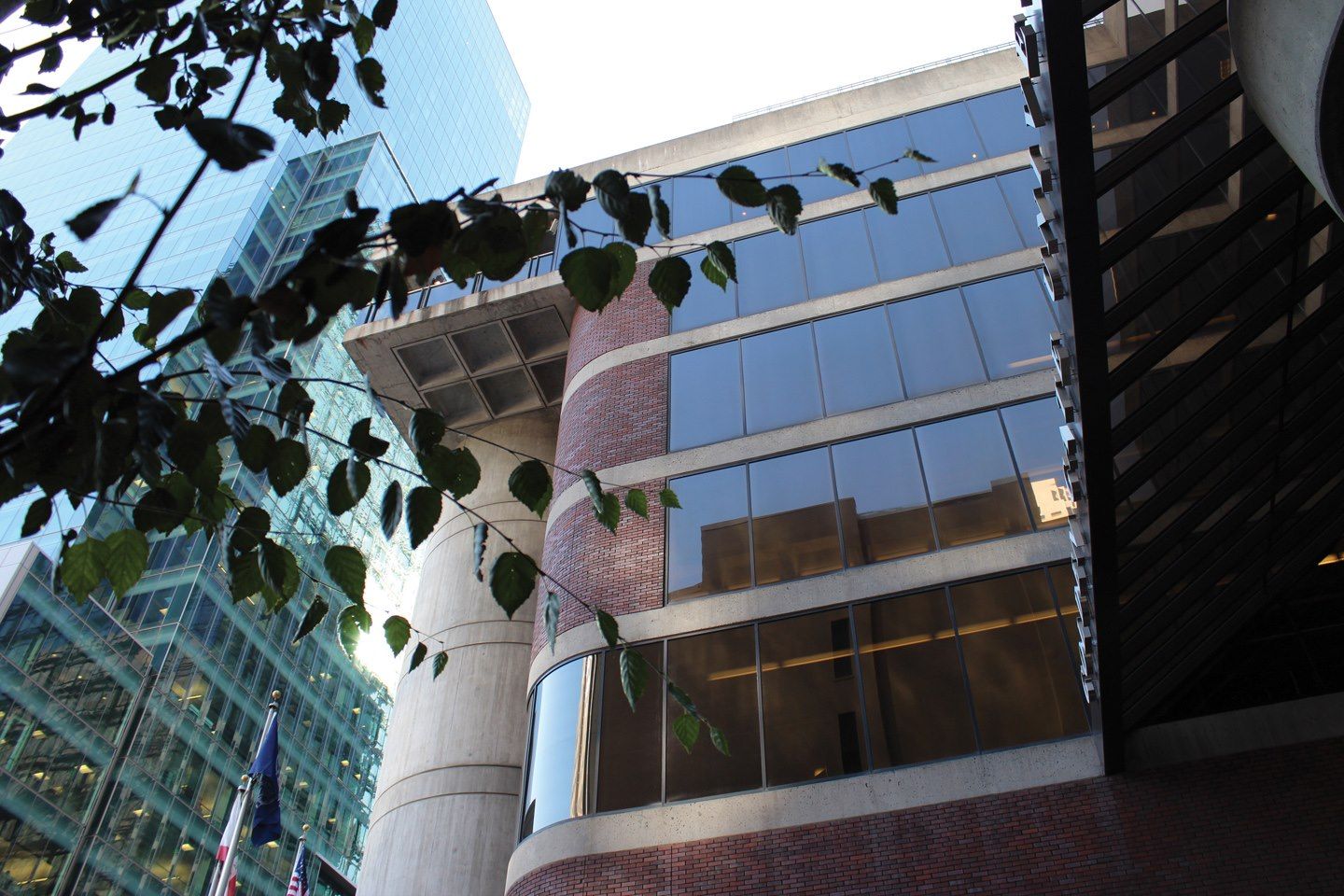 Golden Gate University: Must-Know Info for Students