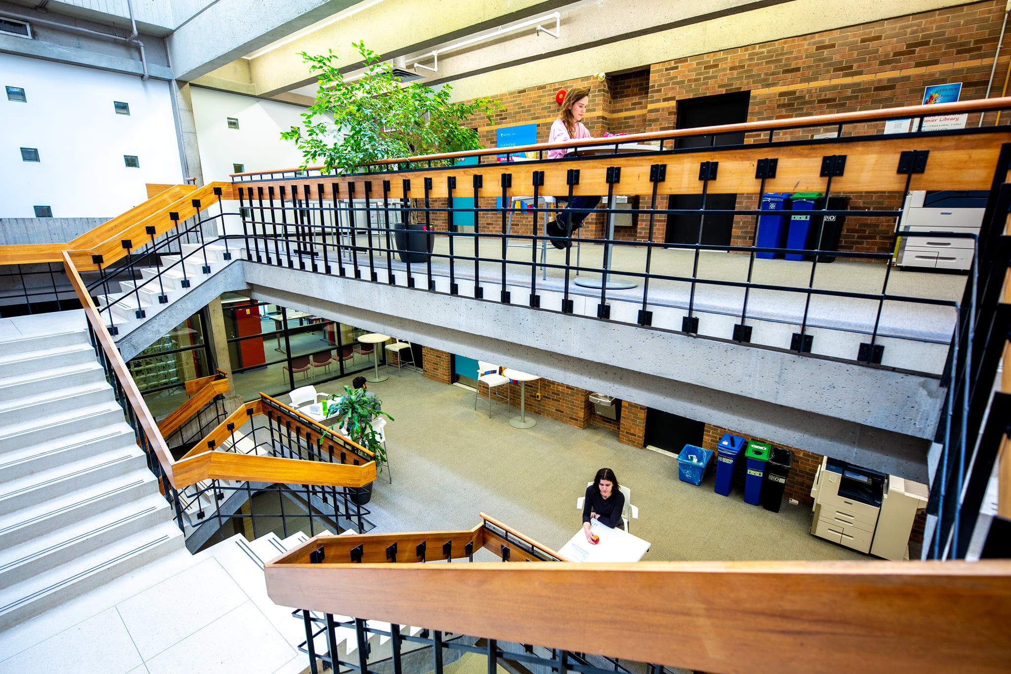 Concordia University: Admissions, Ranking, Acceptance Rate, Courses & Fees