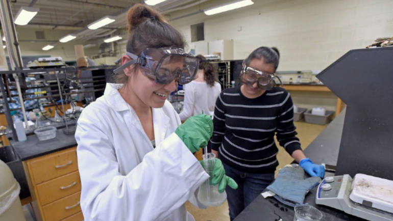 Wayne State University : Admission, Ranking, Acceptance Rate, Courses ...