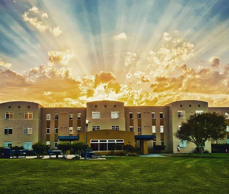 California State University: Admissions, Ranking, Acceptance Rate ...
