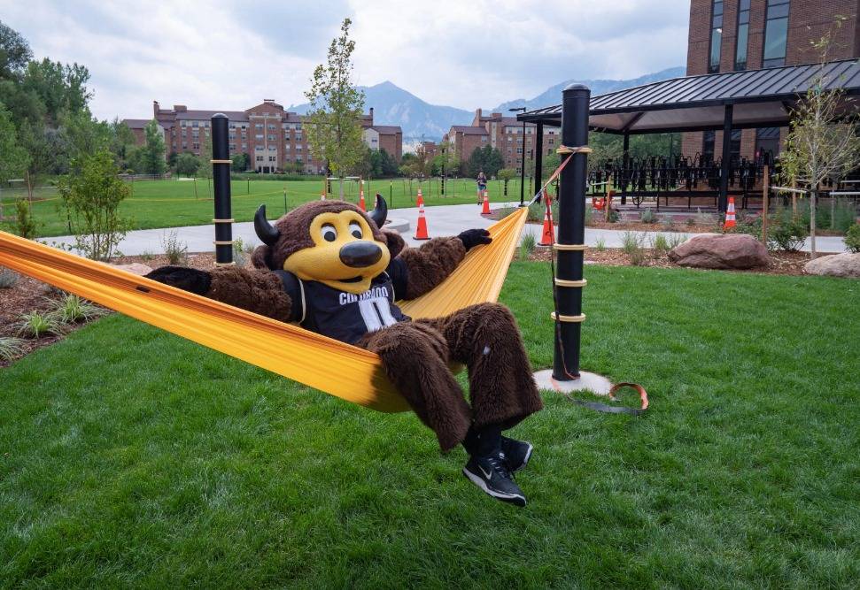 University of Colorado Boulder : Admission, Ranking, Acceptance Rate ...