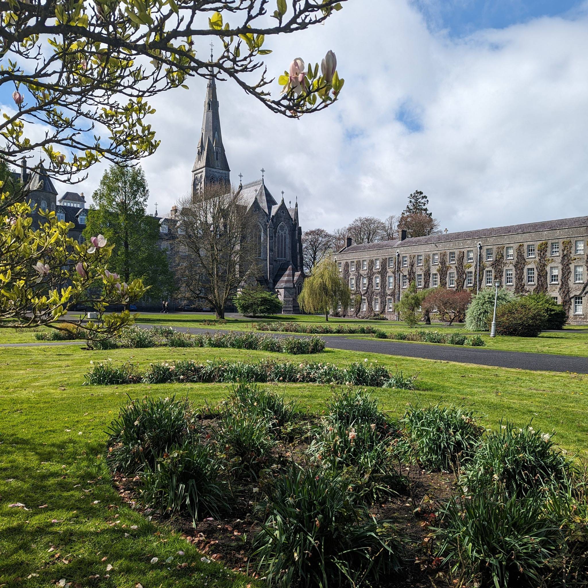 Maynooth University: Admissions, Ranking, Acceptance Rate, Courses & Fees