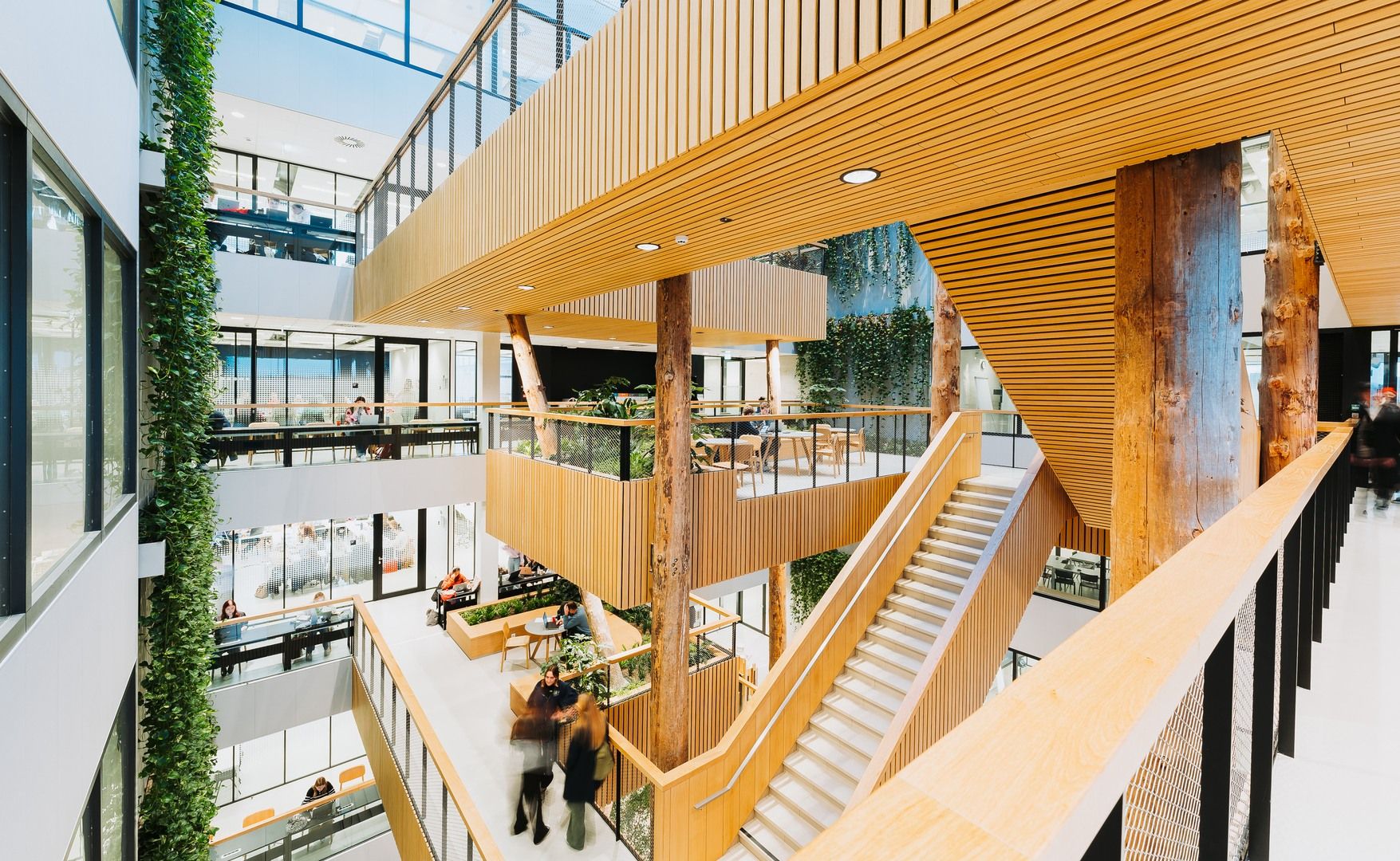 Erasmus University : Ranking, Fees, Acceptance & More