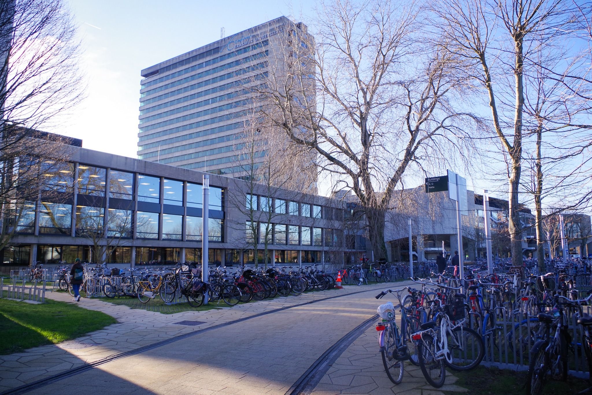 Erasmus University : Ranking, Fees, Acceptance & More