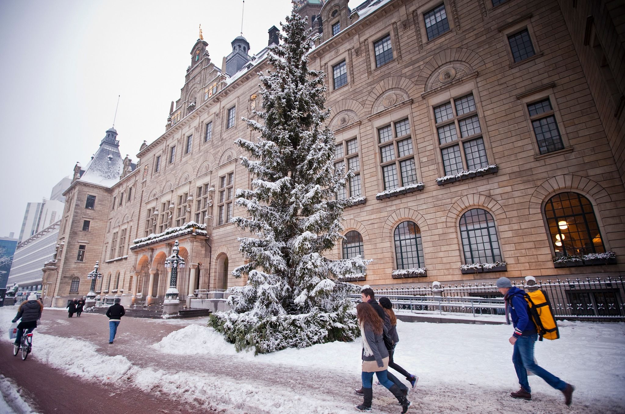 Erasmus University : Ranking, Fees, Acceptance & More