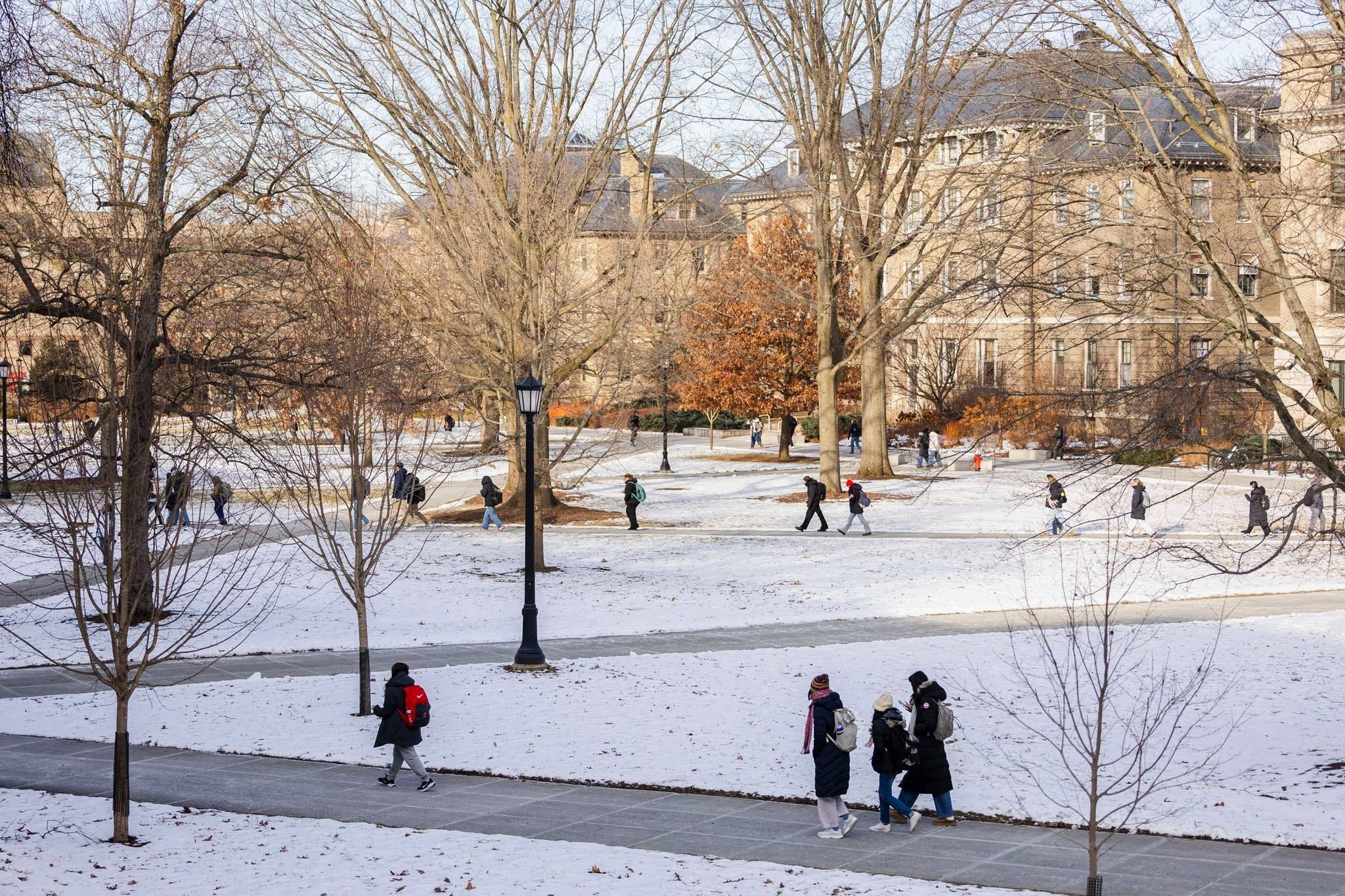 Cornell University 2025: Must-Know Rankings & Admissions!