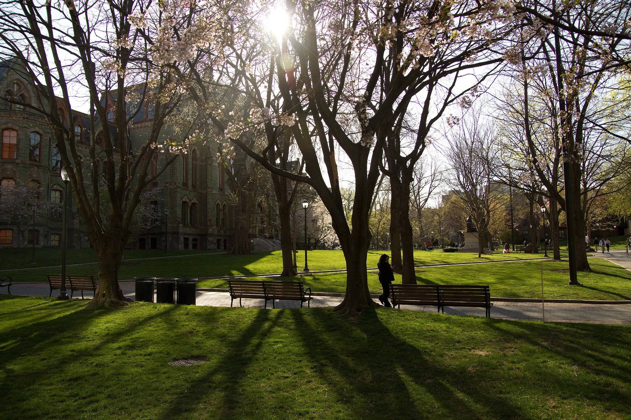 University of Pennsylvania - Fees, Acceptance, Placements