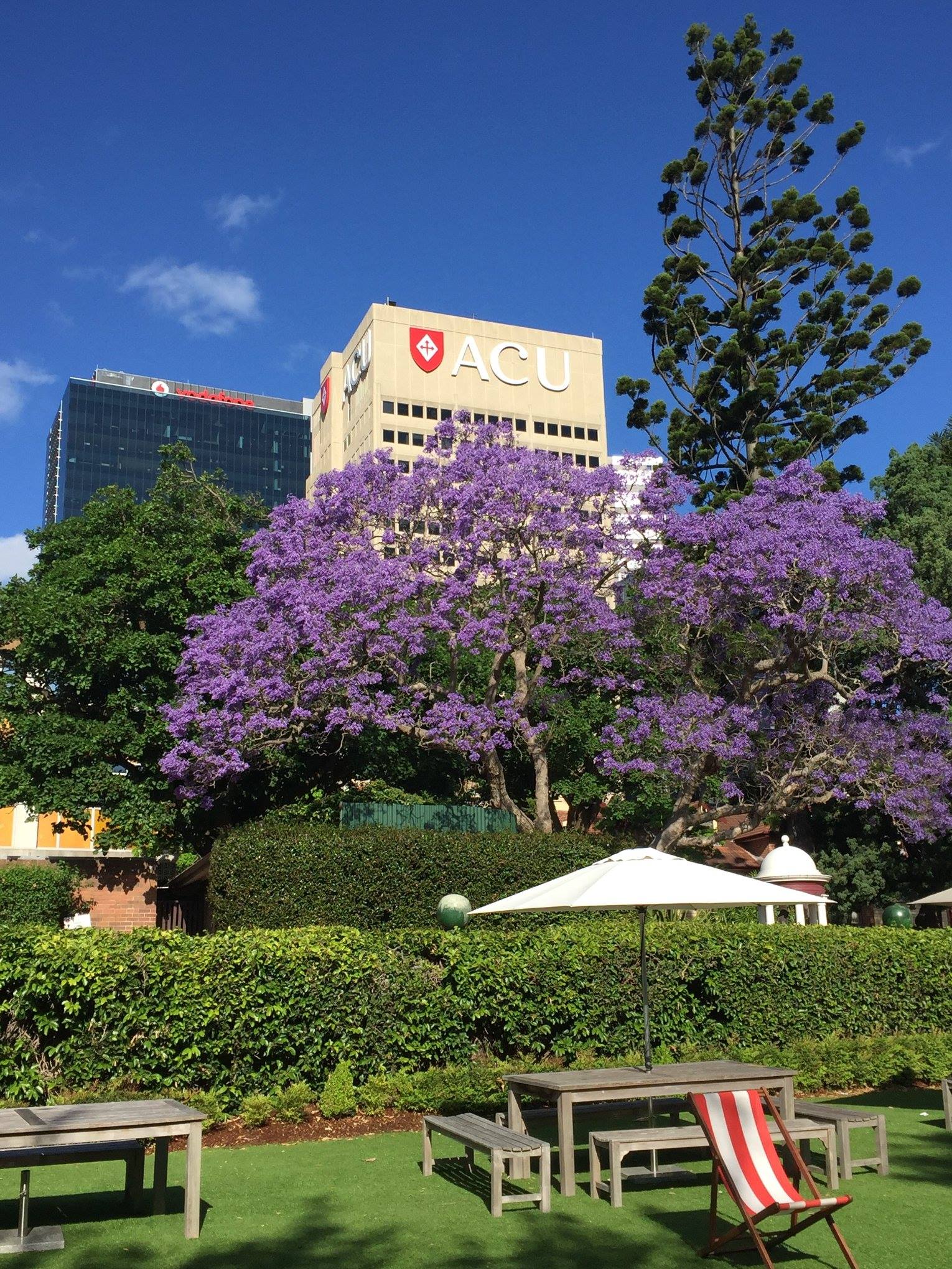 Australian Catholic University ACU : Admission 2023, Ranking ...