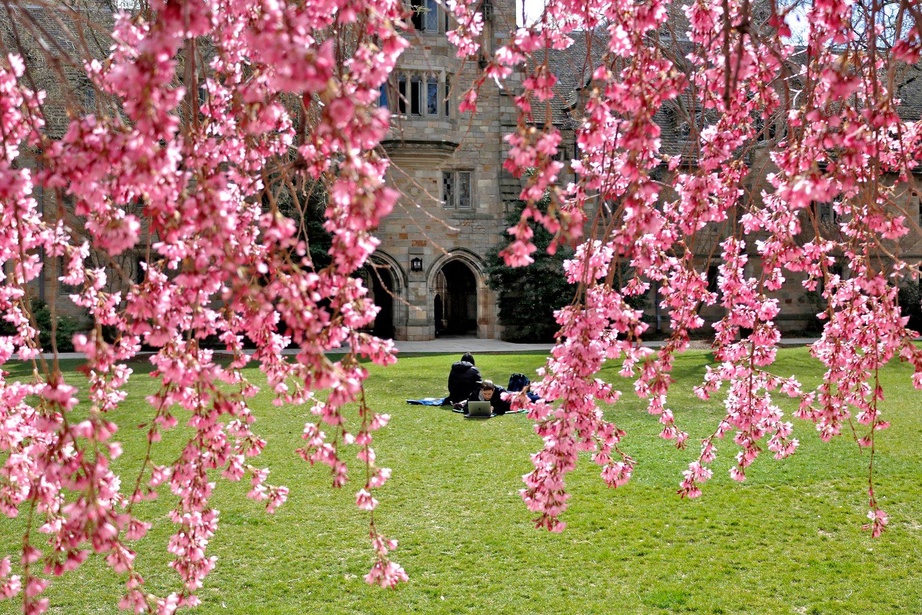 Yale University 2025: Rankings, Programs & Key Facts