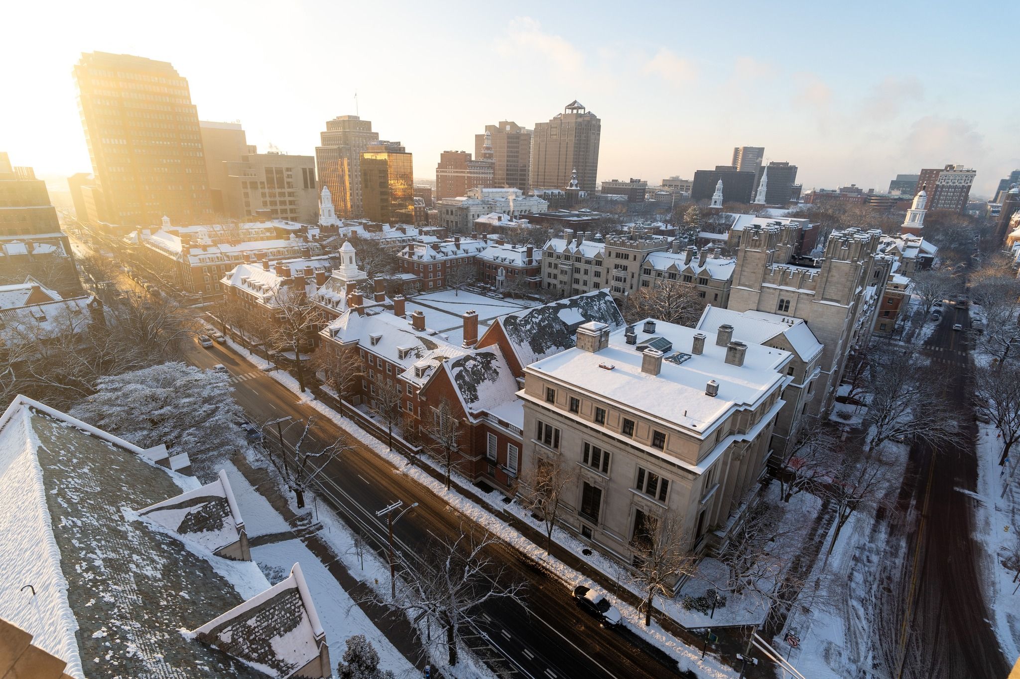 Yale University 2025: Rankings, Programs & Key Facts