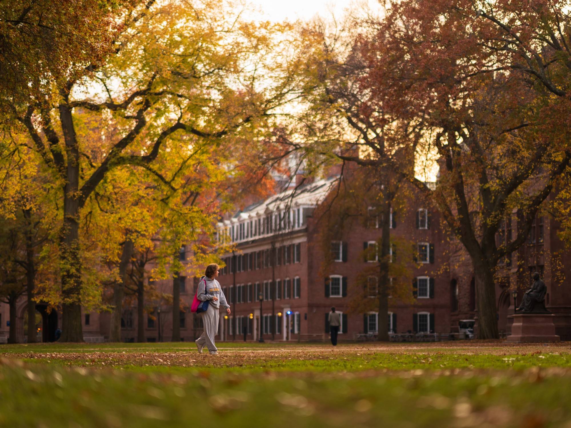 Yale University 2025: Rankings, Programs & Key Facts