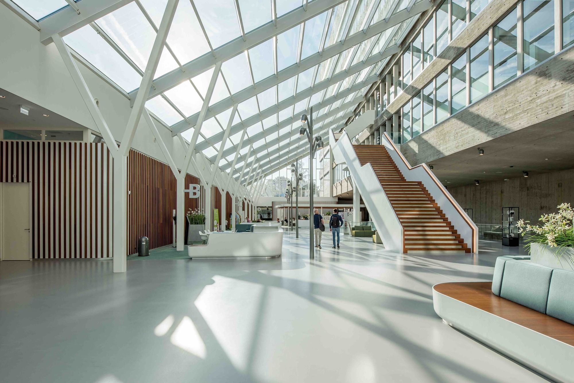 Radboud University 2025: Must-Know Deadlines & Rankings