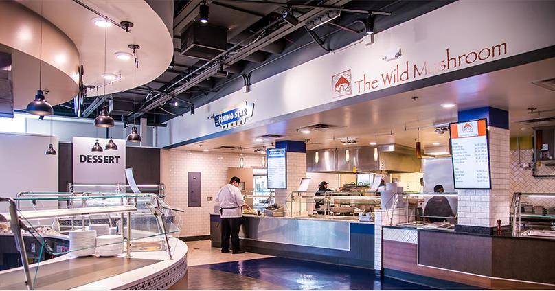 Webster University : Fees, Acceptance, Placements & More