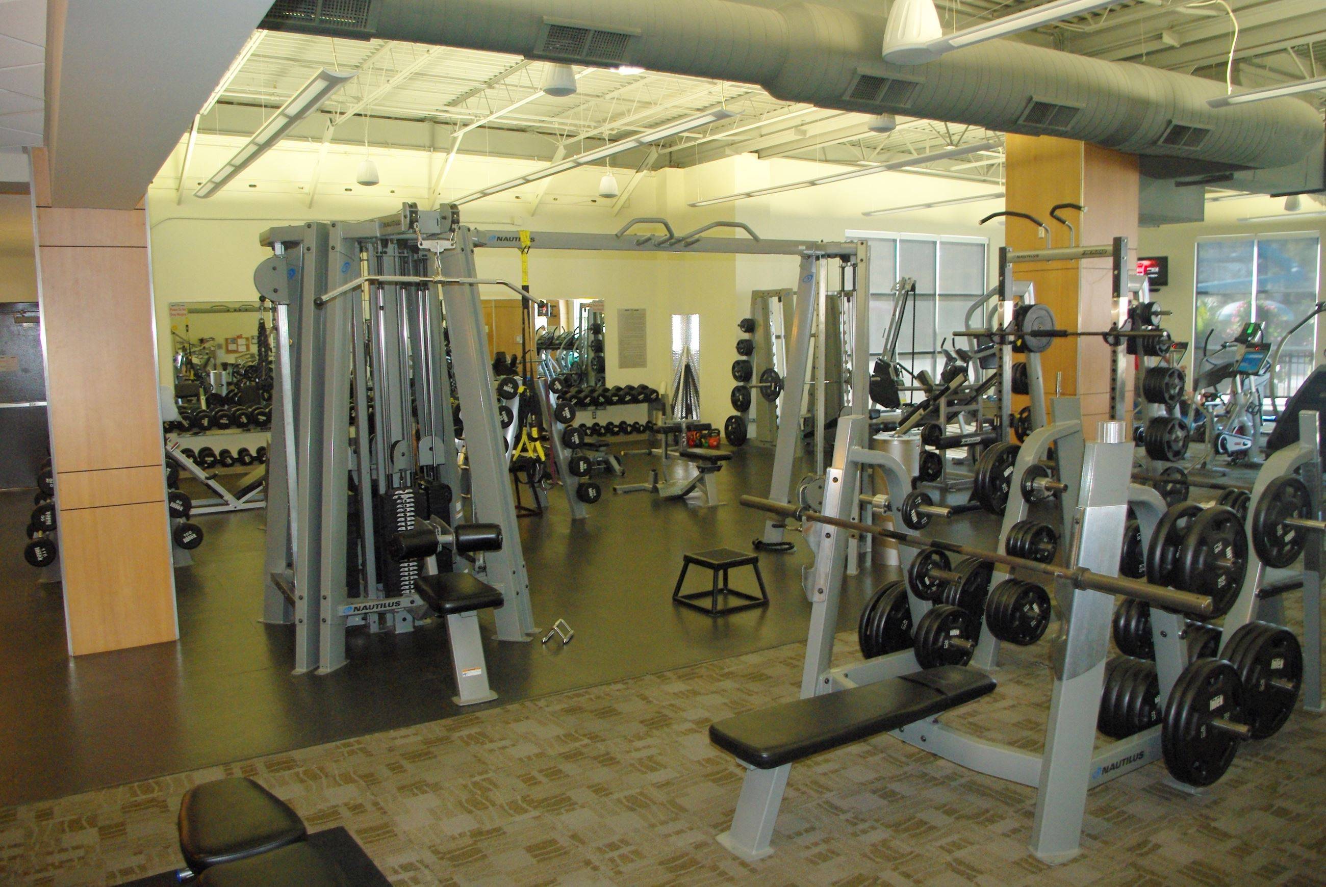 Webster University : Fees, Acceptance, Placements & More