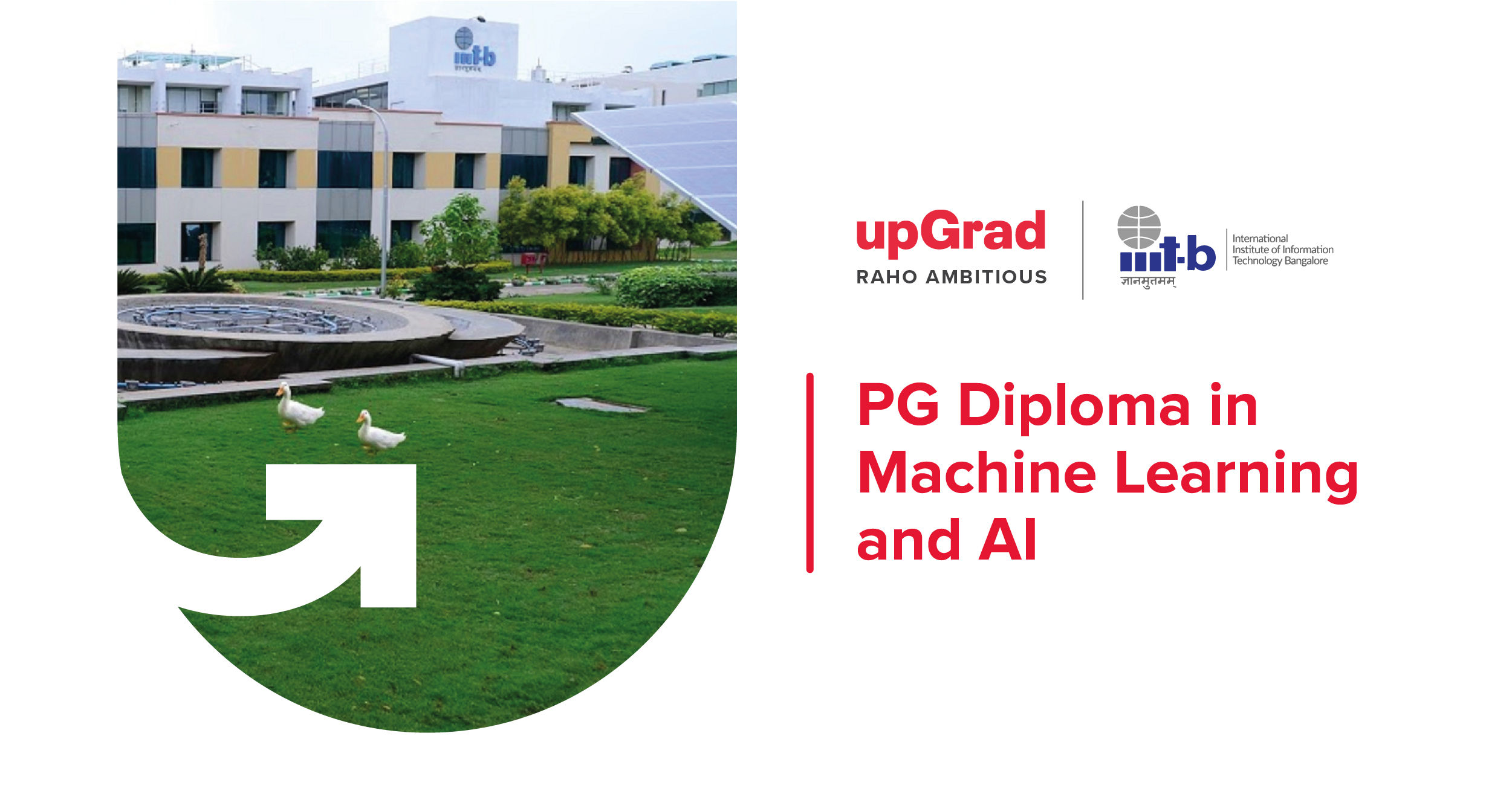 Pg Diploma In Machine Learning And Artificial Intelligence With Iiit Bangalore Upgrad