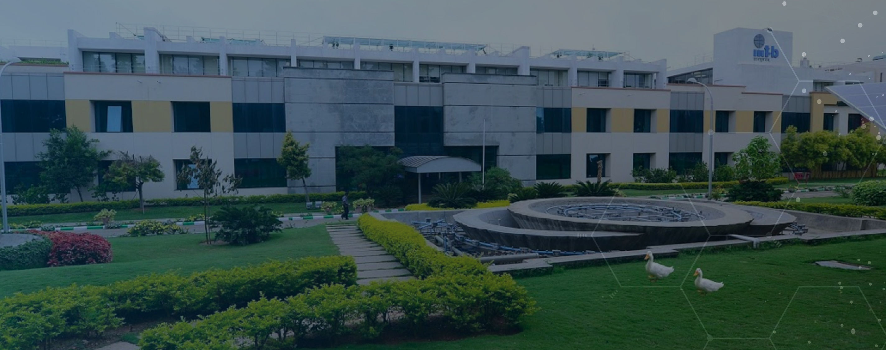 Advanced Certificate Program in Data Science | IIIT-B, upGrad