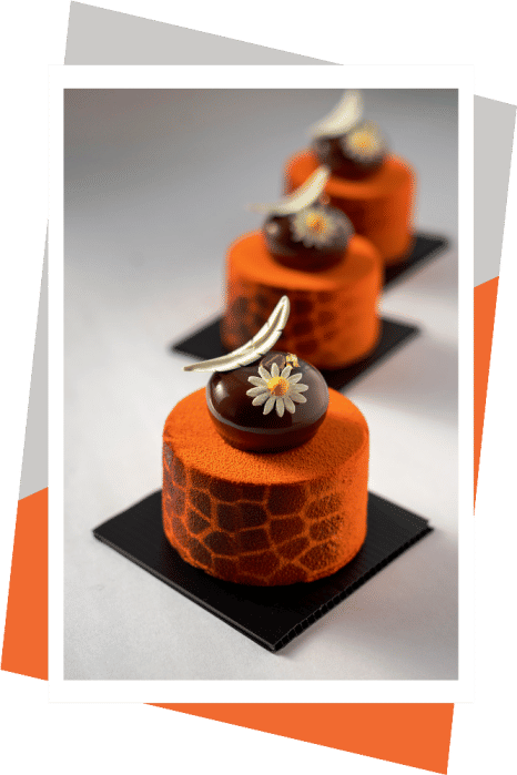 Best Pastry & Culinary Arts School In India - Academy of Pastry and ...