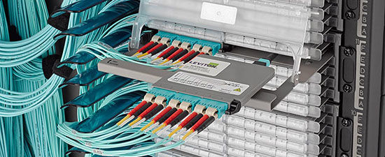 blt - The Tronex Group