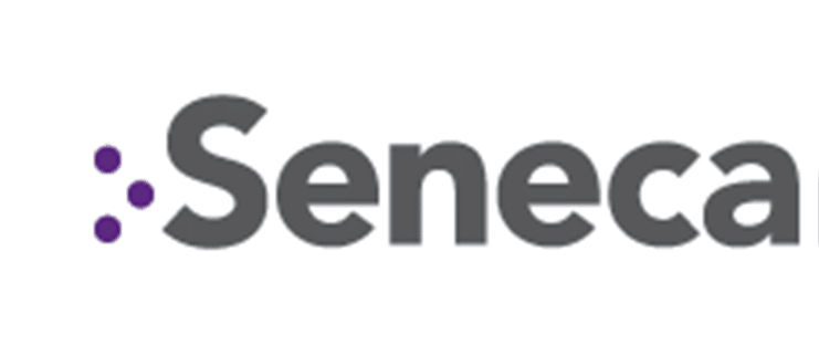 Security Solutions - The Tronex Group