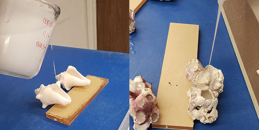 Polyester or Lucite® Acrylic Embedding | Which is best?