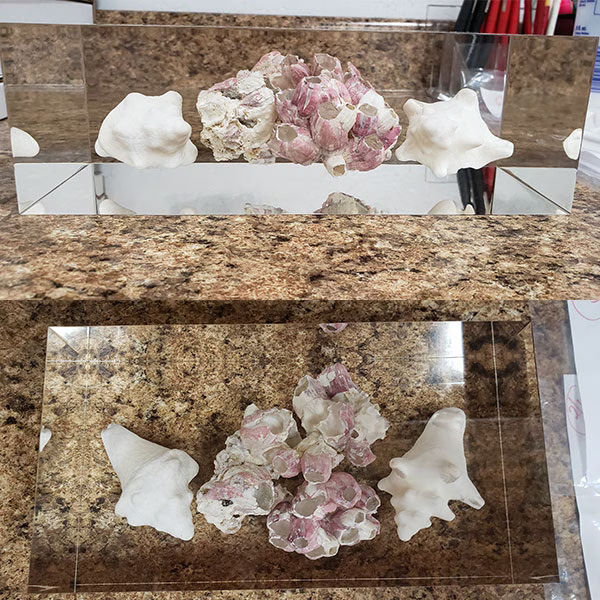 Polyester or Lucite® Acrylic Embedding | Which is best?