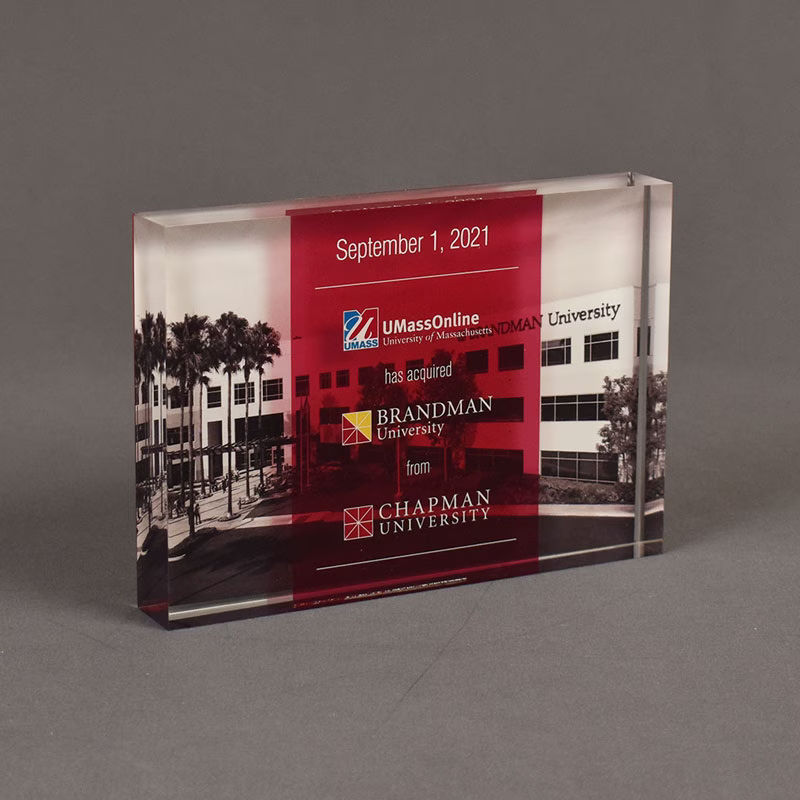 The Do's and Don'ts of Acrylic Embedding | US Acrylic Awards