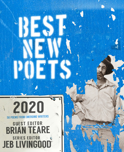 Best New Poets 2020 - UVA Press