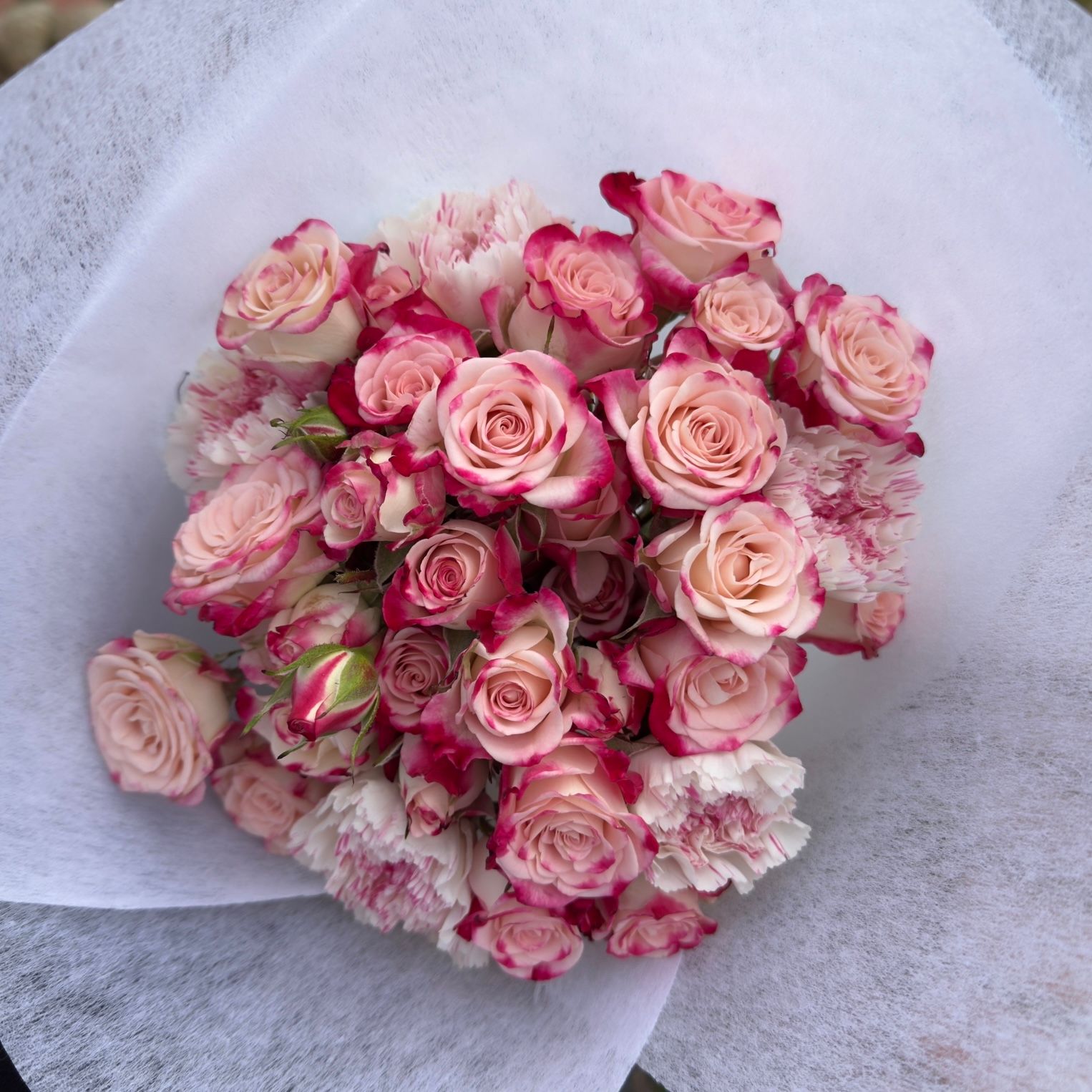 Bloom Boutique Florist in Montrose, Melbourne