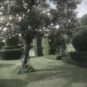 jaydes Type Beat: Download Free jaydes Type Beat Instrumental | TRAKTRAIN